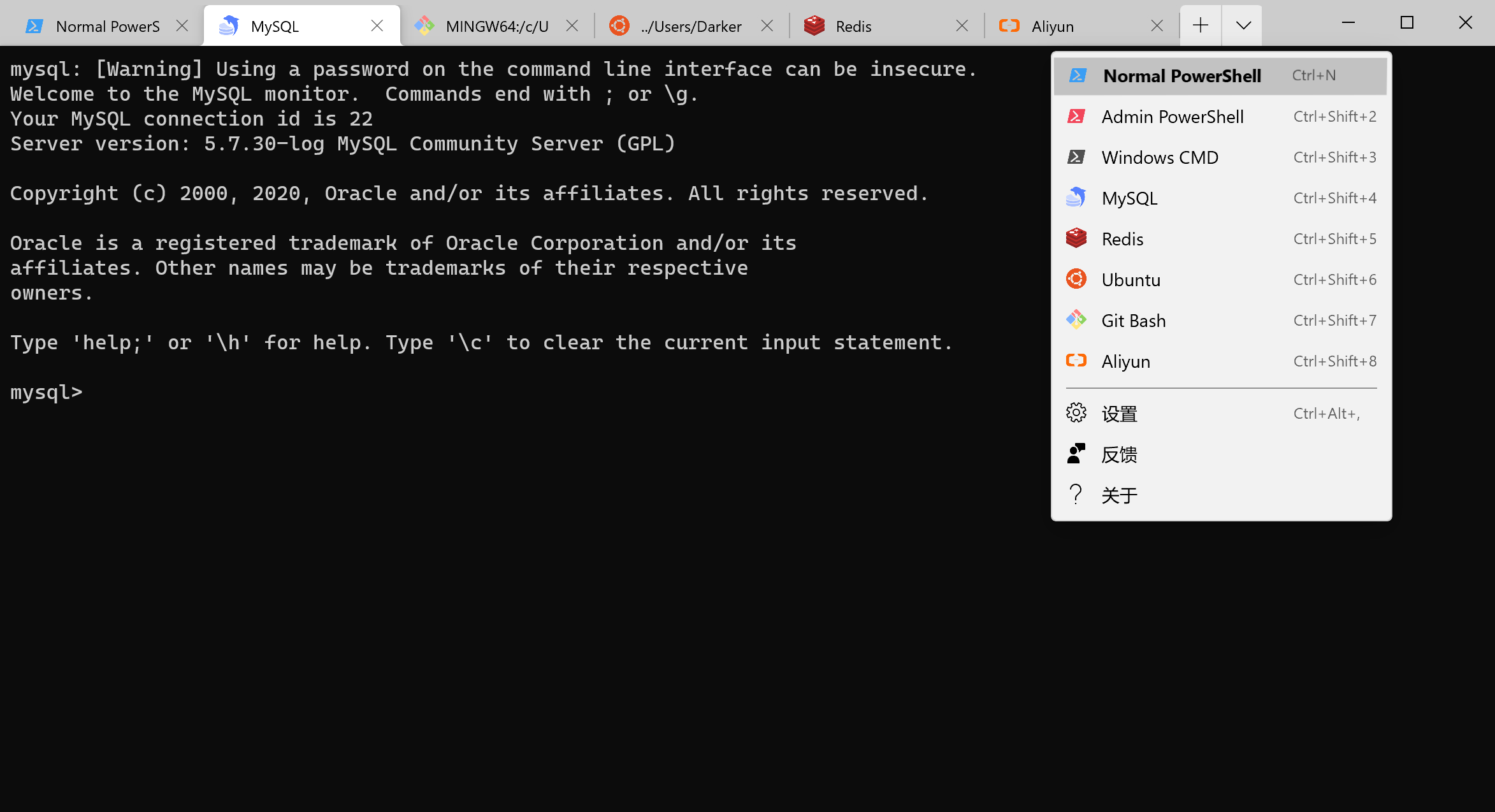 Windowsterminal Windows Terminal 美化 和 自定义配置