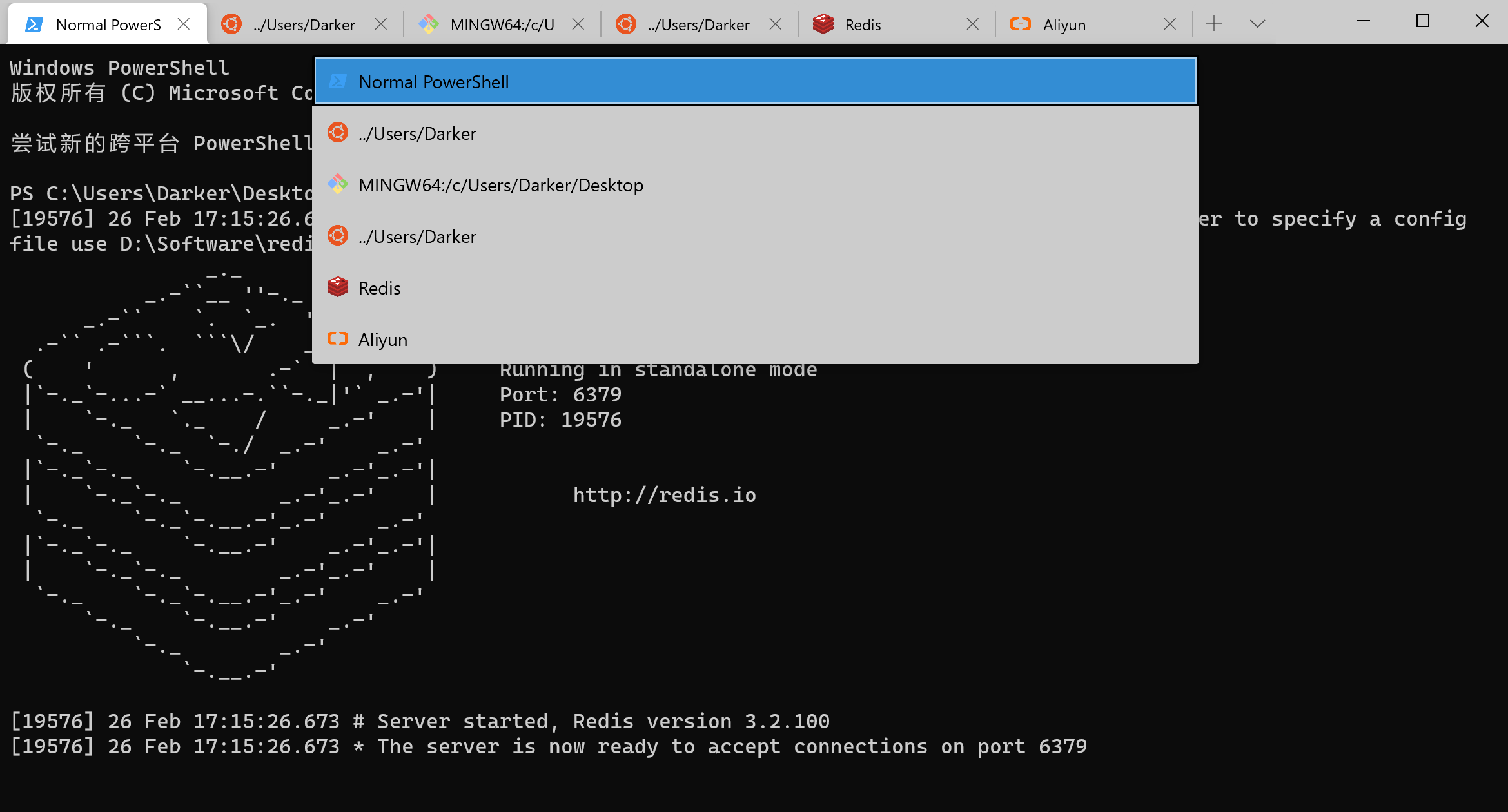 Windowsterminal Windows Terminal 美化 和 自定义配置